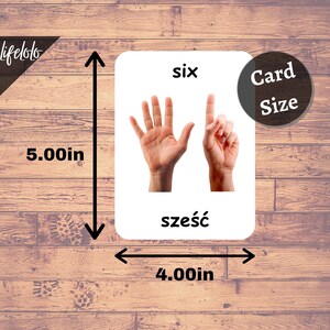 POLISH Numbers, Counting Flashcards, Learn Polish, Toddler Games ...
