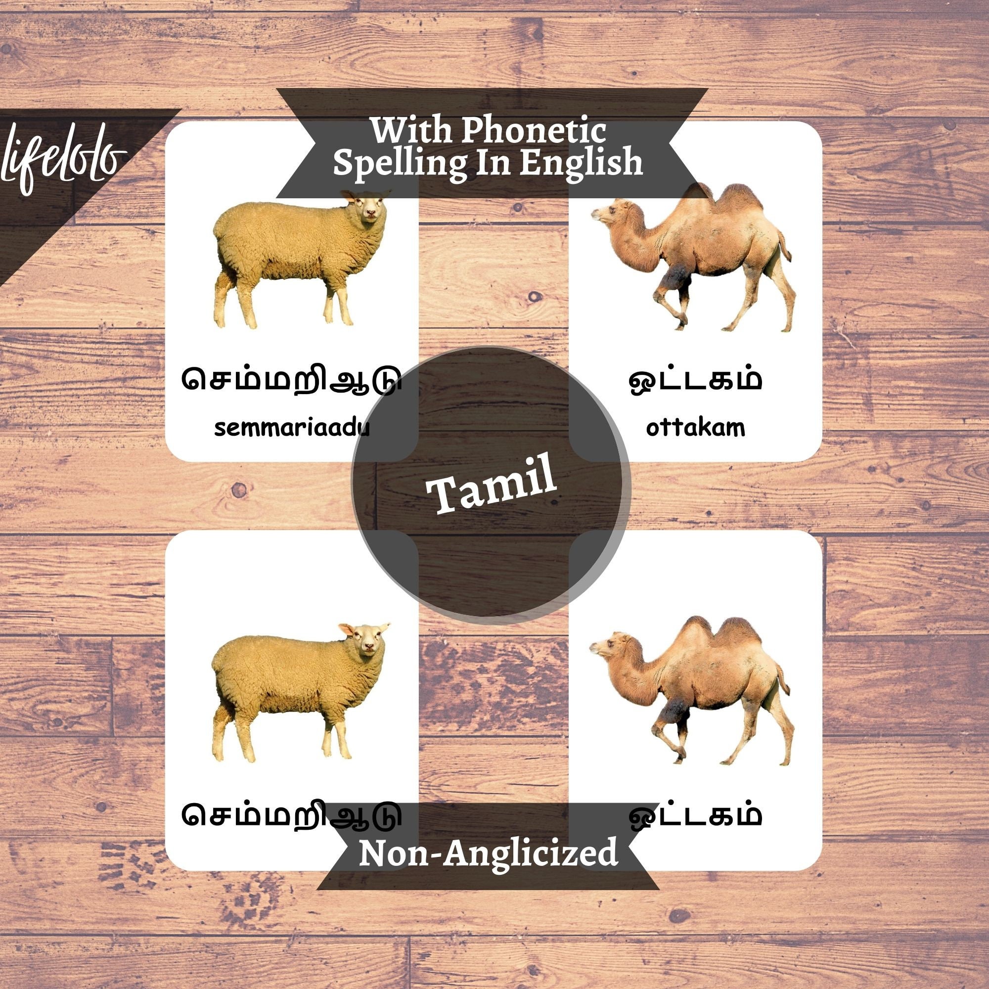 Farm Animals | TAMIL | English Bilingual Cards | 27 Tamil Language ...