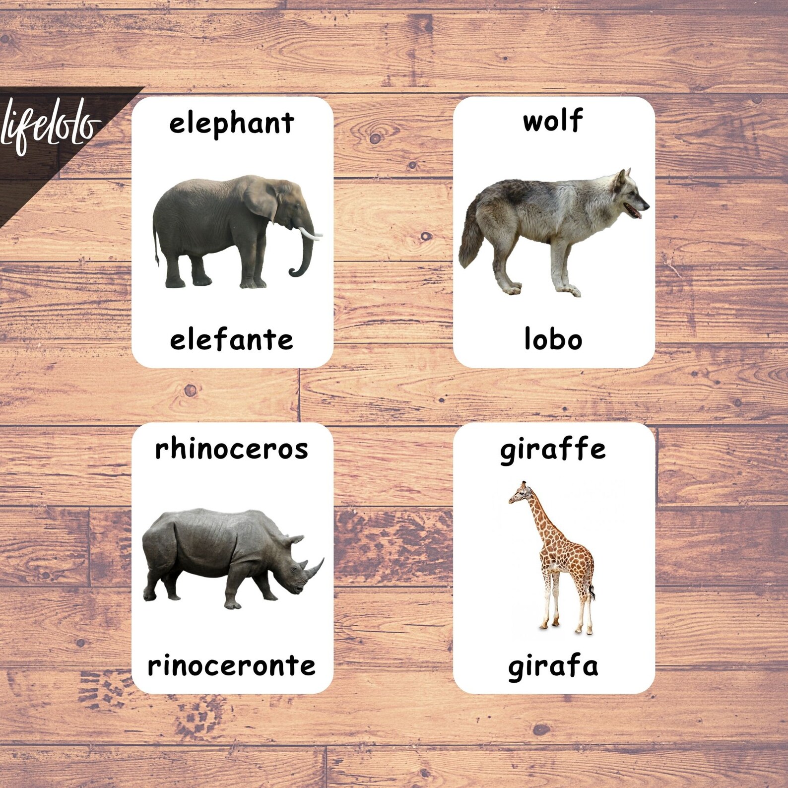 Wild Animals PORTUGUESE Version English Bilingual Cards 41 - Etsy