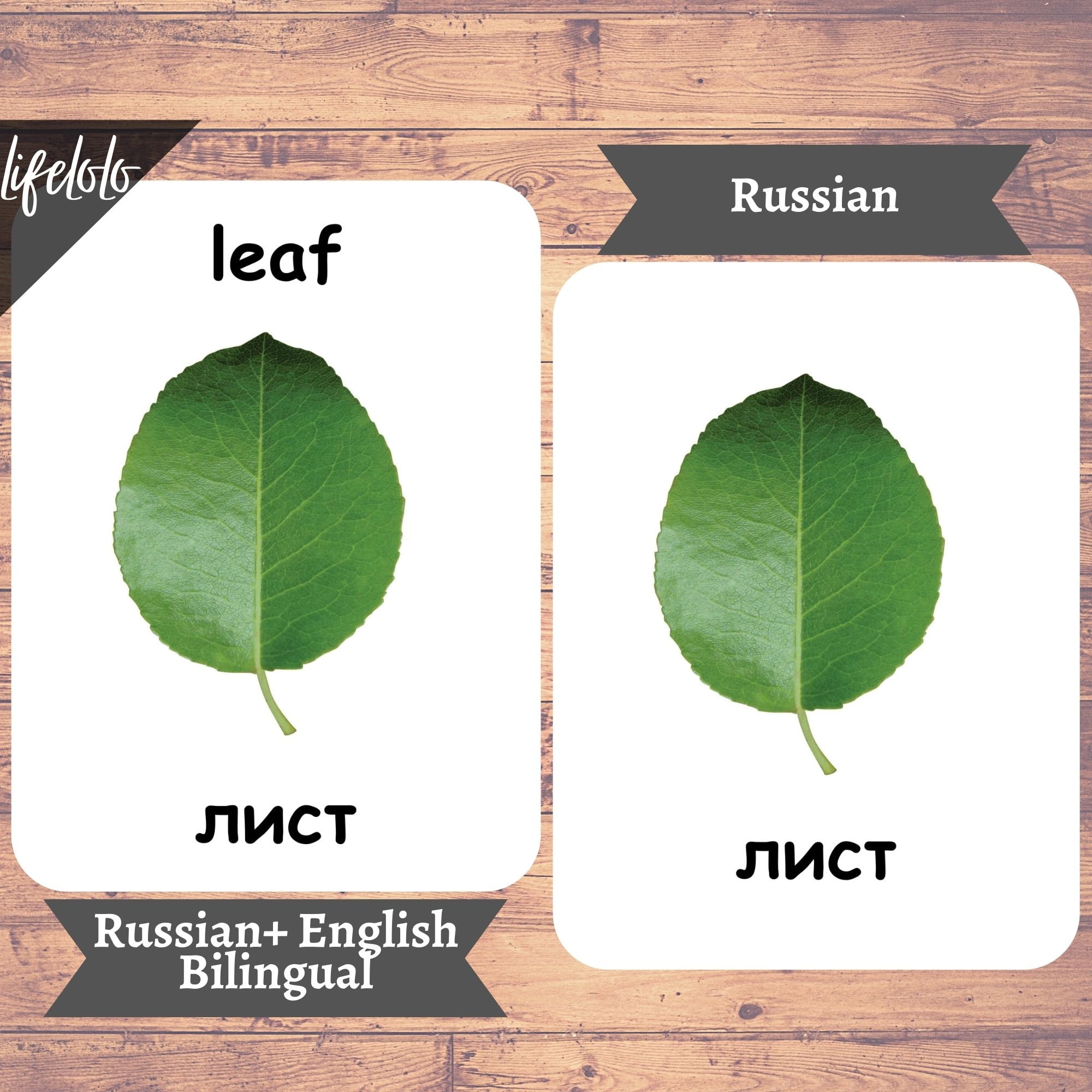 First Words RUSSIAN Version - English Bilingual Cards | 48 Russian ...