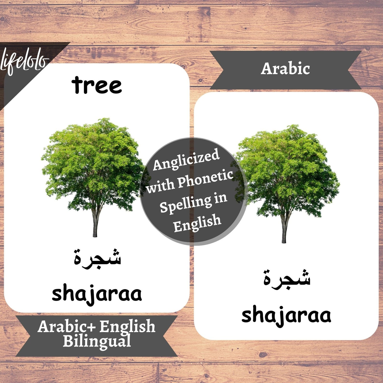 First Words ARABIC Version English Bilingual Cards 48 | Etsy