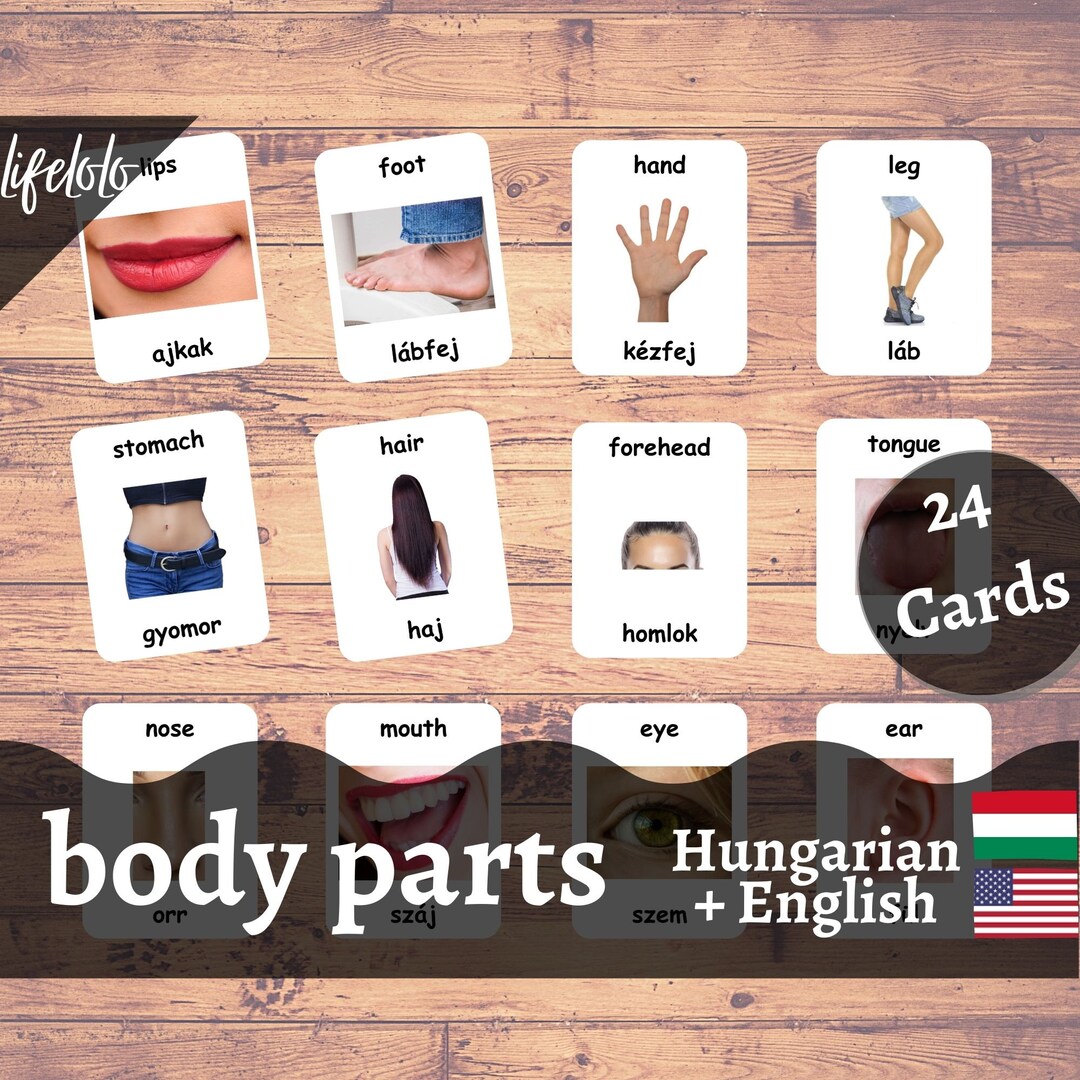 Body Parts (real) | HUNGARIAN | English Bilingual Cards | 24 Hungarian ...