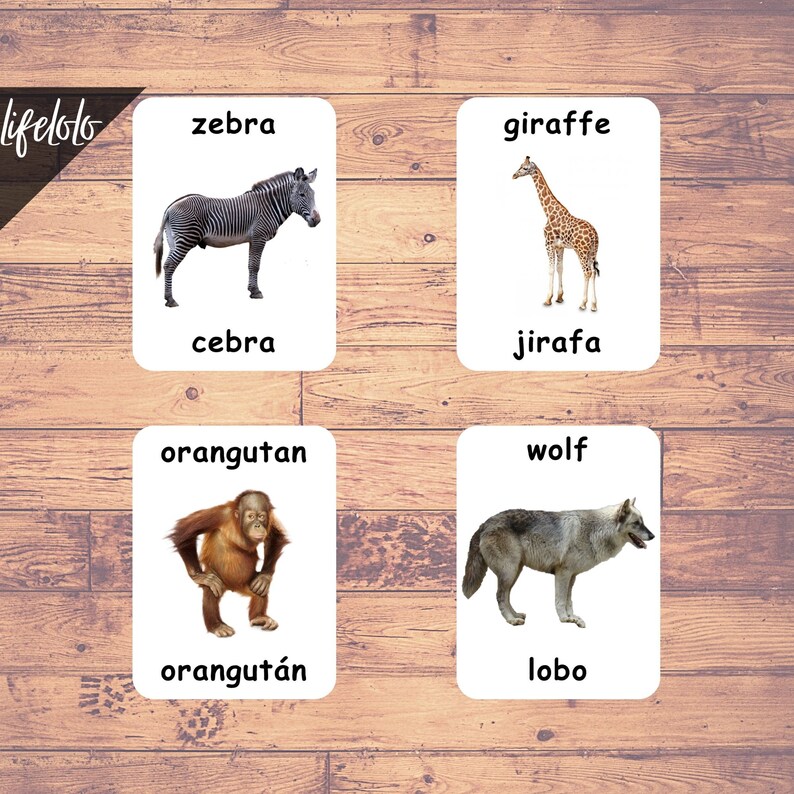 Wild Animals SPANISH Version English Bilingual Cards 41 - Etsy