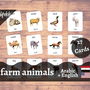 Farm Animals | ARABIC | English Bilingual Cards | 27 Arabic Language ...