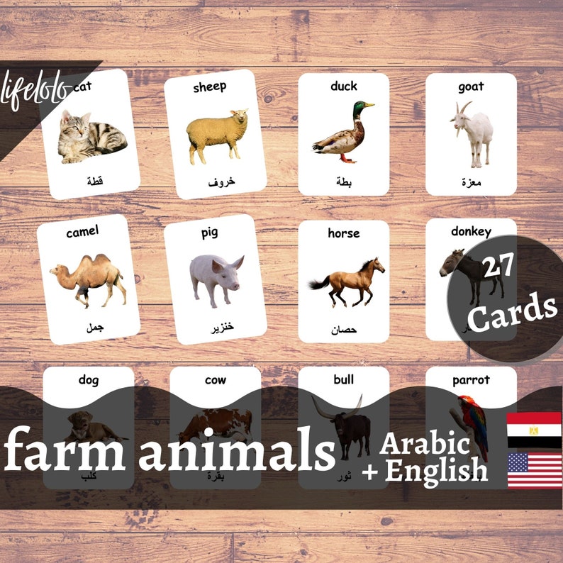 Farm Animals ARABIC English Bilingual Cards 27 Arabic - Etsy