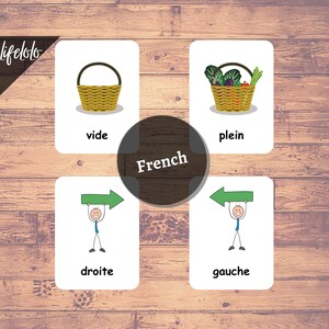 Antonyms FRENCH Flashcards, English Bilingual Cards, 104 Opposite Words ...