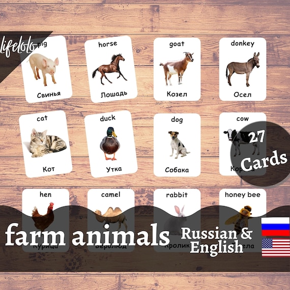 Farm Animals Russian Flash Cards English Bilingual Cards | Etsy