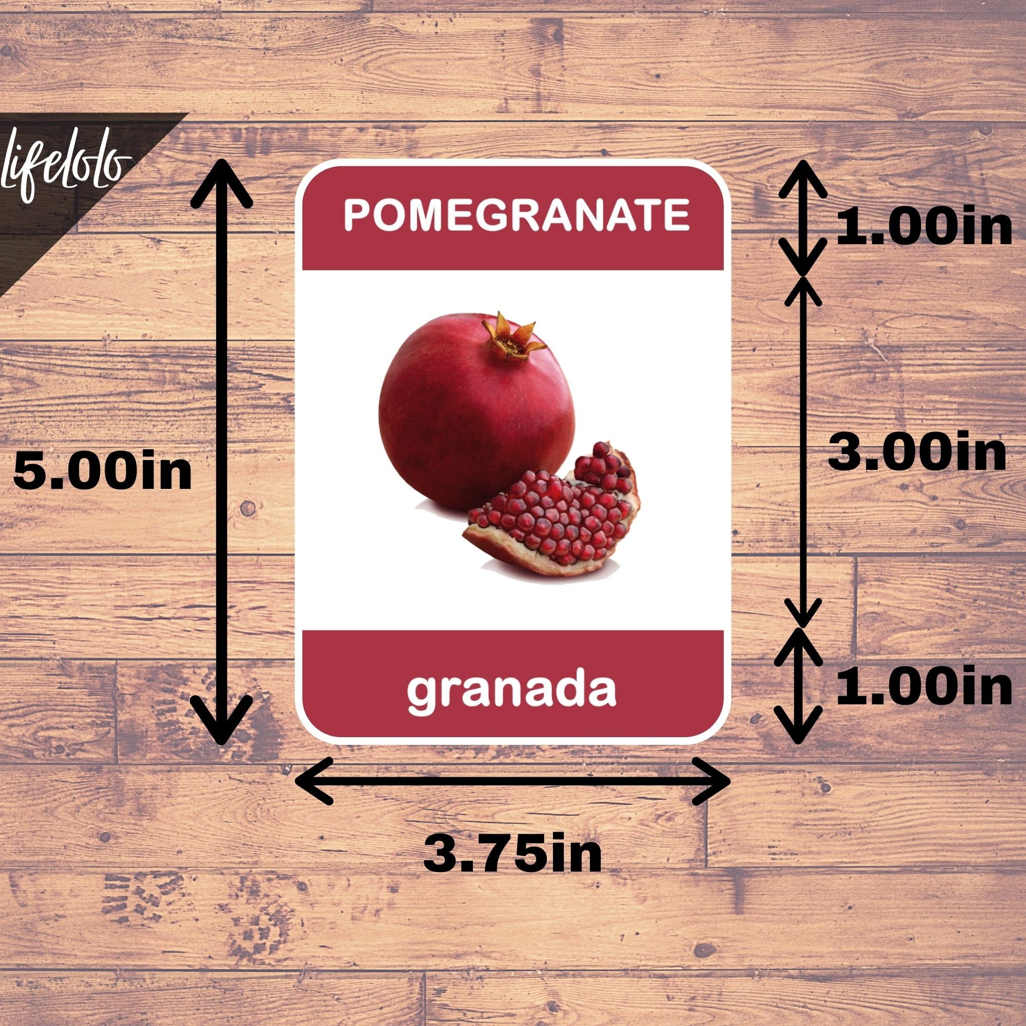 Fruits SPANISH Version English Bilingual Cards 45 Spanish - Etsy