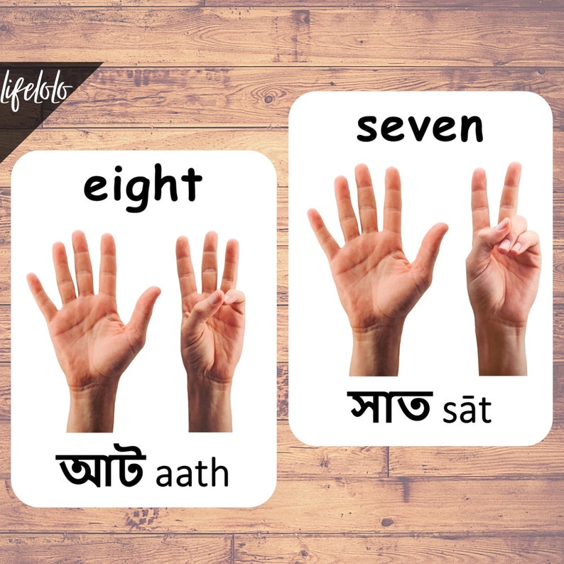 BENGALI Numbers in Words Counting Flashcards Learn Bengali | Etsy