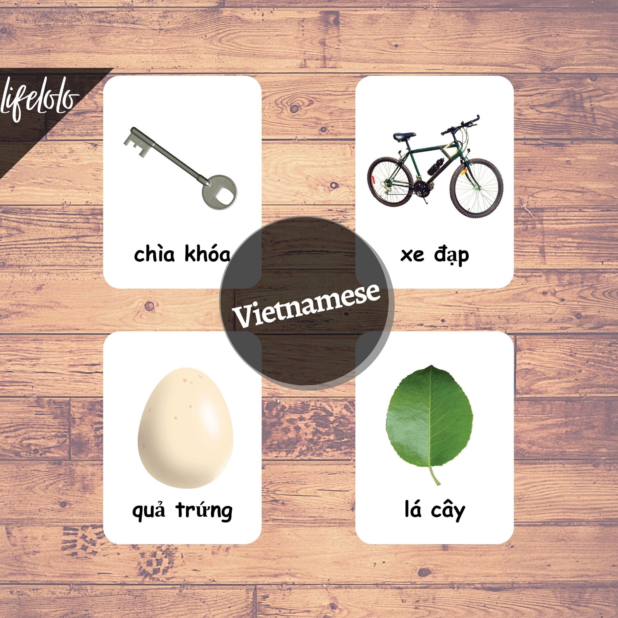 First Words VIETNAMESE Version - English Bilingual Cards | 48 Flash ...