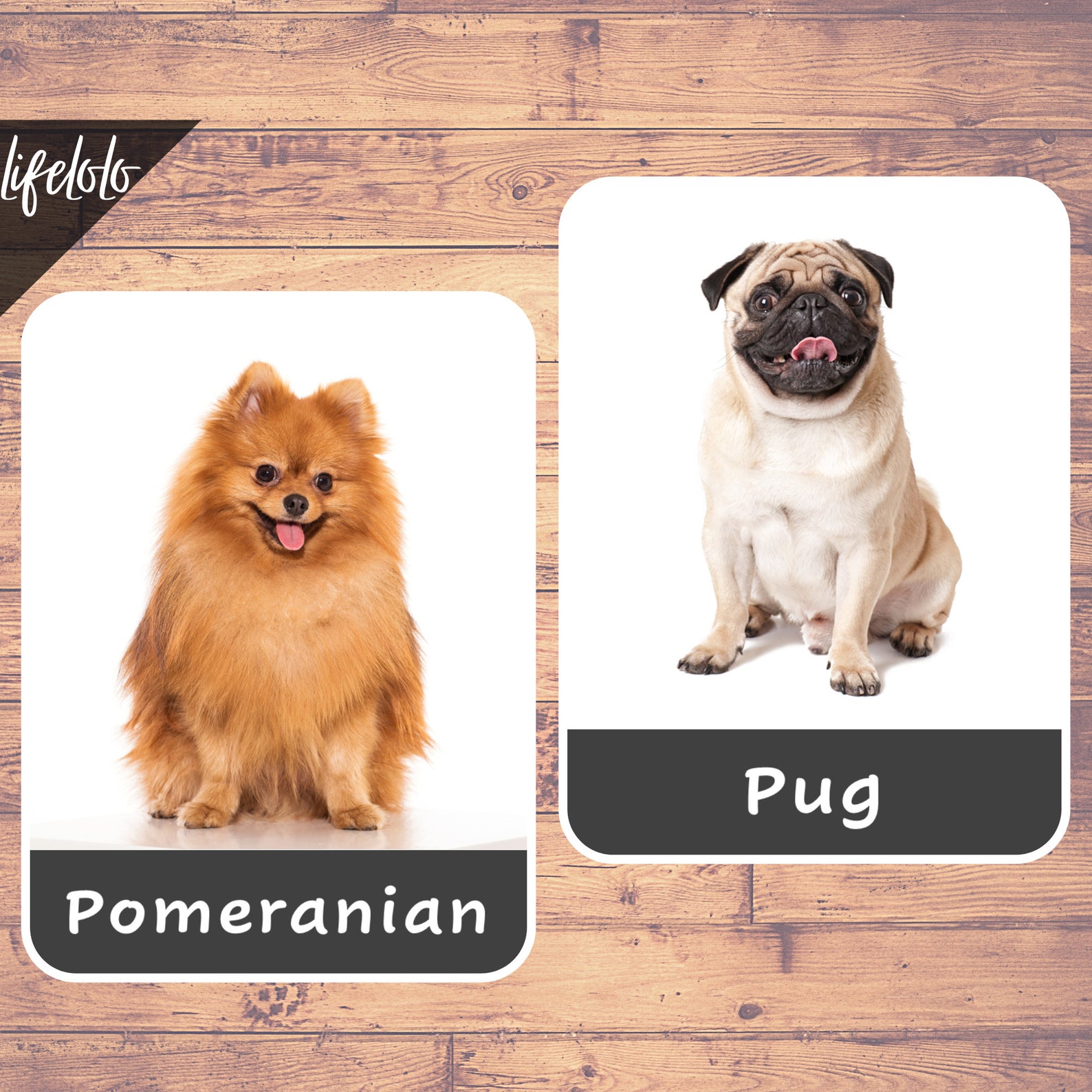 Dog Breeds Flash Cards 31 Cards Montessori Material - Etsy