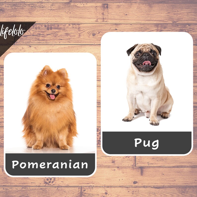 Dog Breeds Flash Cards 31 Cards Montessori Material - Etsy
