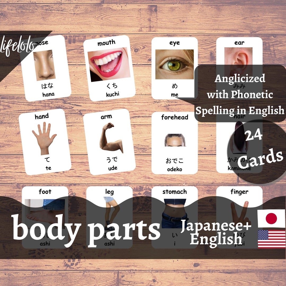 Body Parts (real) | JAPANESE | English Bilingual Cards | 24 Japanese ...
