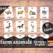 Farm Animals GERMAN English Bilingual Cards 27 German Flash Cards ...