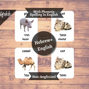 Farm Animals | HEBREW | English Bilingual Cards | 27 Hebrew Flash Cards ...