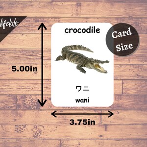 Wild Animals Japanese English Bilingual Cards, Montessori Printable ...
