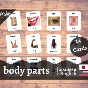 Body Parts (real) | JAPANESE | English Bilingual Cards | 24 Japanese ...