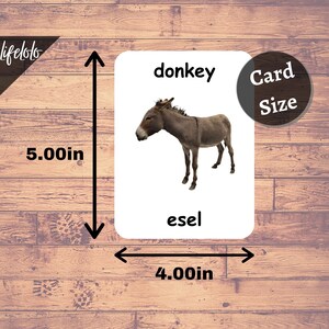 Farm Animals | GERMAN | English Bilingual Cards | 27 German Flash Cards ...