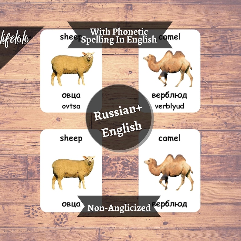 Farm Animals Russian Flash Cards, English Bilingual Cards, Montessori ...