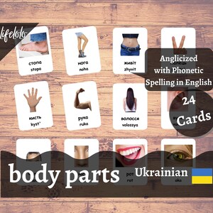 Body Parts (real) | UKRAINIAN | English Bilingual Cards | 24 Ukrainian ...