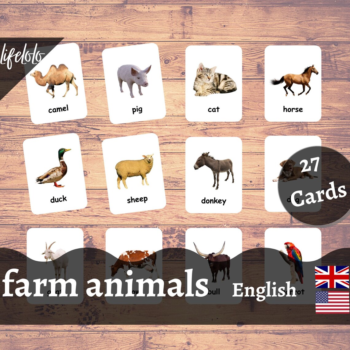 Farm Animals Real Images 27 Flash Cards Montessori Cards - Etsy