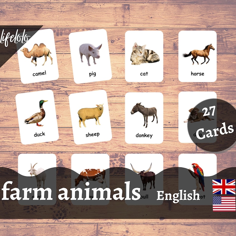 Farm Animals Real Images 27 Flash Cards Montessori Cards - Etsy Farm Animals Real Images 27 Flash Cards Montessori Cards - Etsy