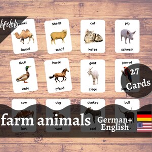 GERMAN Flash Cards BUNDLE - German English Bilingual Cards | German ...