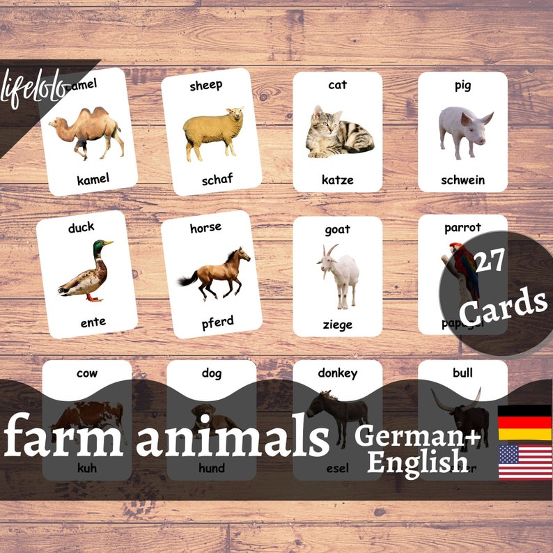GERMAN Flash Cards BUNDLE German English Bilingual Cards | Etsy