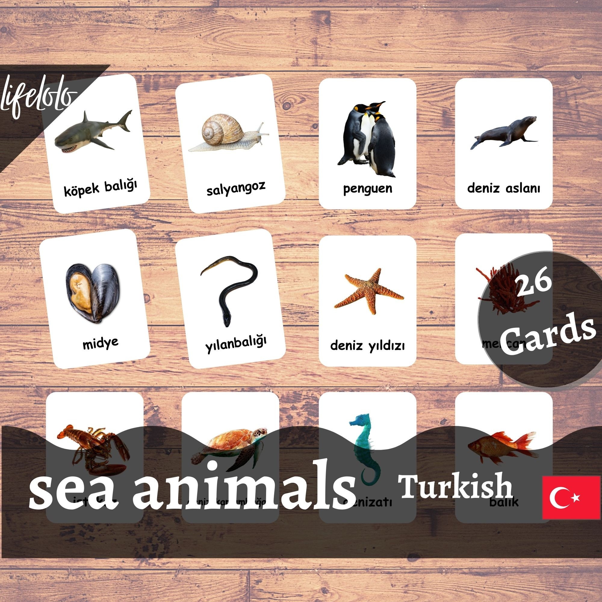Sea Animals TURKISH Version - English Bilingual Cards | 26 Turkish ...