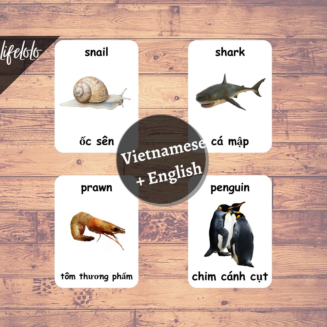 Sea Animals VIETNAMESE Version English Bilingual Cards 26 | Etsy