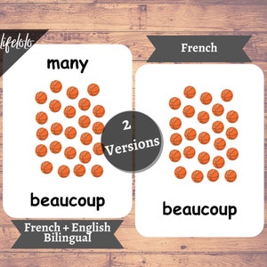 Antonyms FRENCH Flashcards, English Bilingual Cards, 104 Opposite Words ...