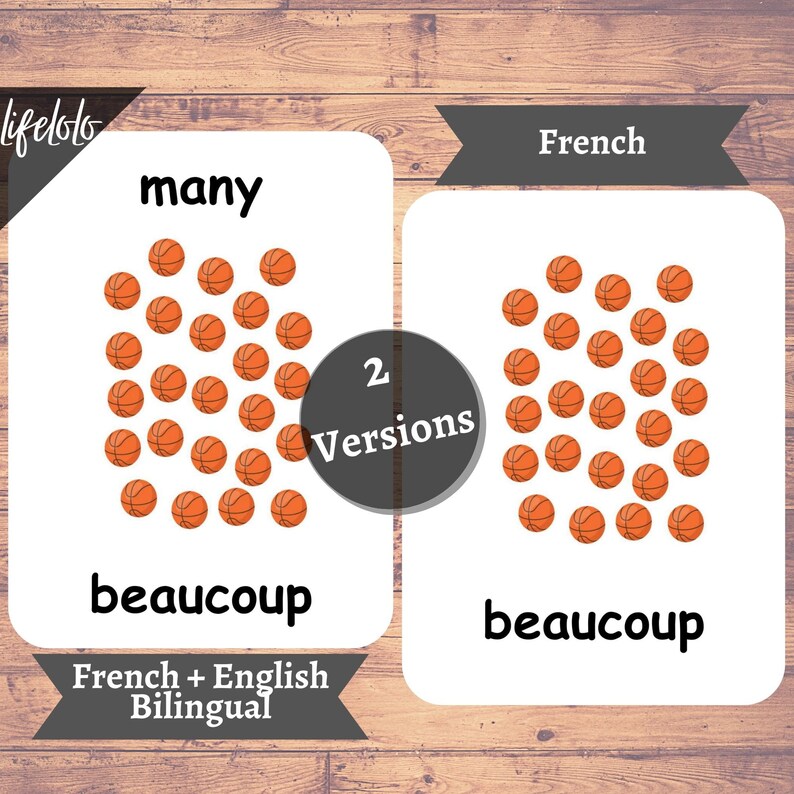 Antonyms FRENCH Flashcards English Bilingual Cards 104 | Etsy