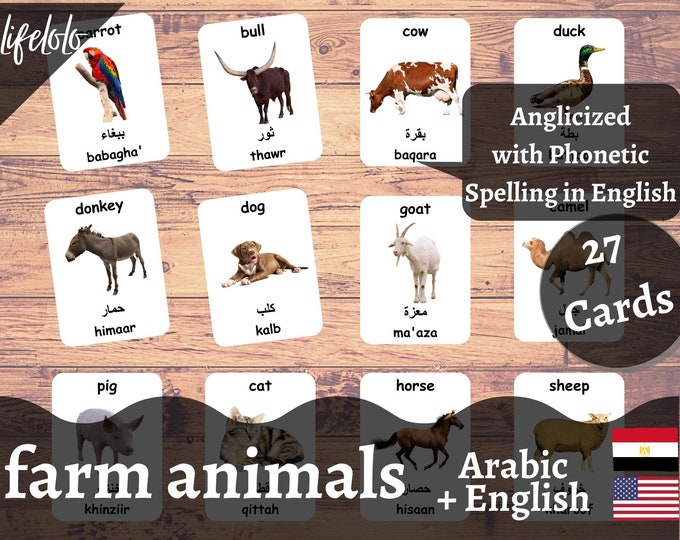 Arabic Farm Animal Flashcards English Bilingual Language Homeschooling ...
