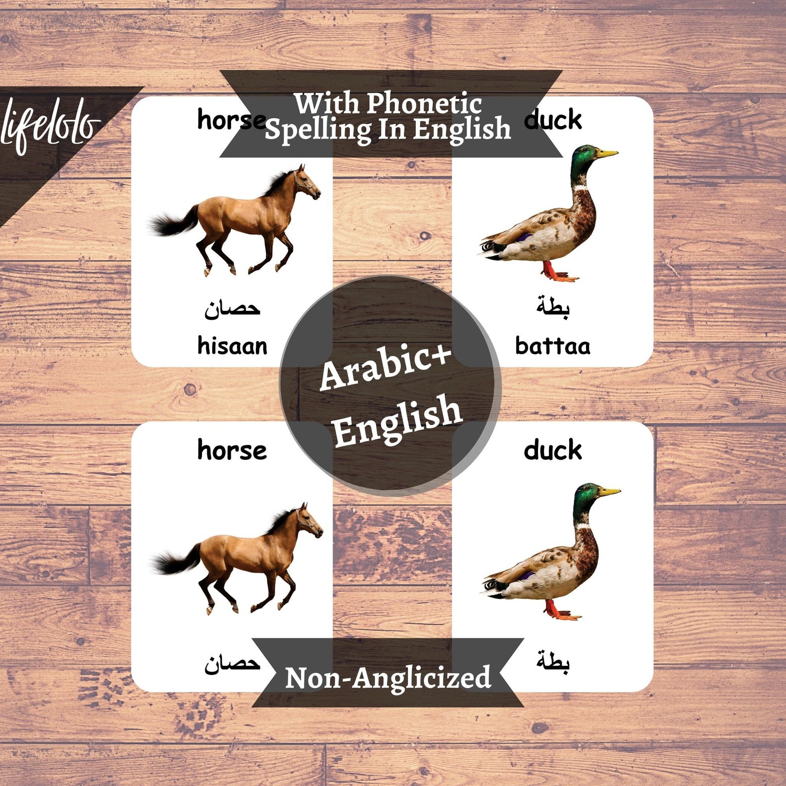 Farm Animals ARABIC English Bilingual Cards 27 Arabic - Etsy