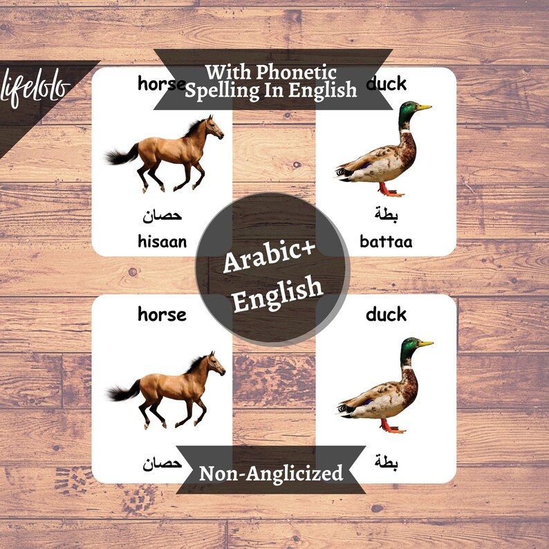 Farm Animals ARABIC English Bilingual Cards 27 Arabic - Etsy