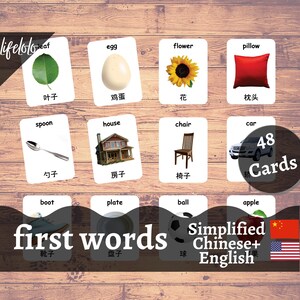 First Words SIMPLIFIED CHINESE Version English Bilingual Cards 48 ...