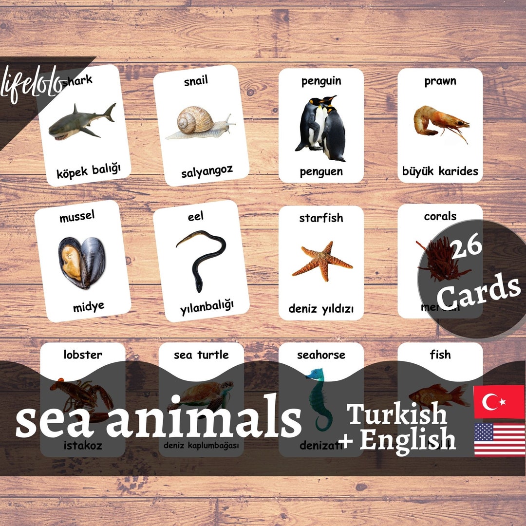 Sea Animals TURKISH Version - English Bilingual Cards | 26 Turkish ...