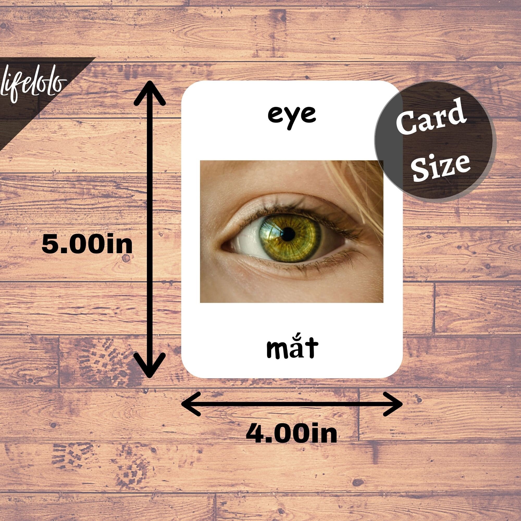 Body Parts (real) | VIETNAMESE | English Bilingual Cards | 24 ...