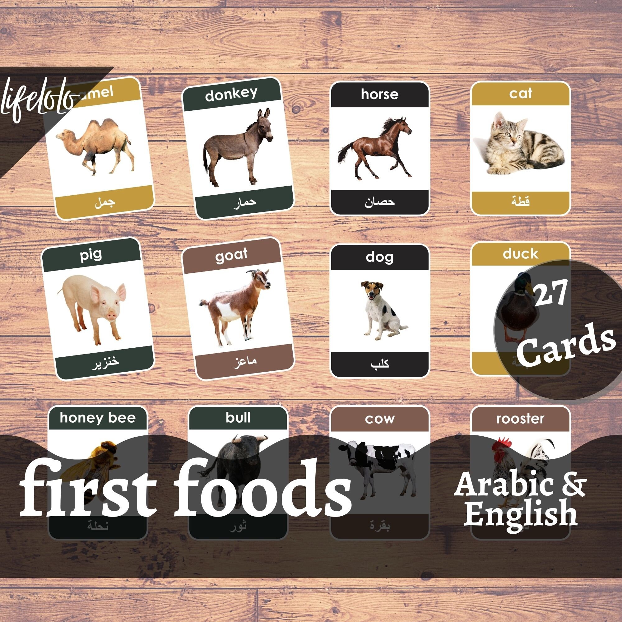 Farm Animals ARABIC English Bilingual Cards 27 Arabic | Etsy