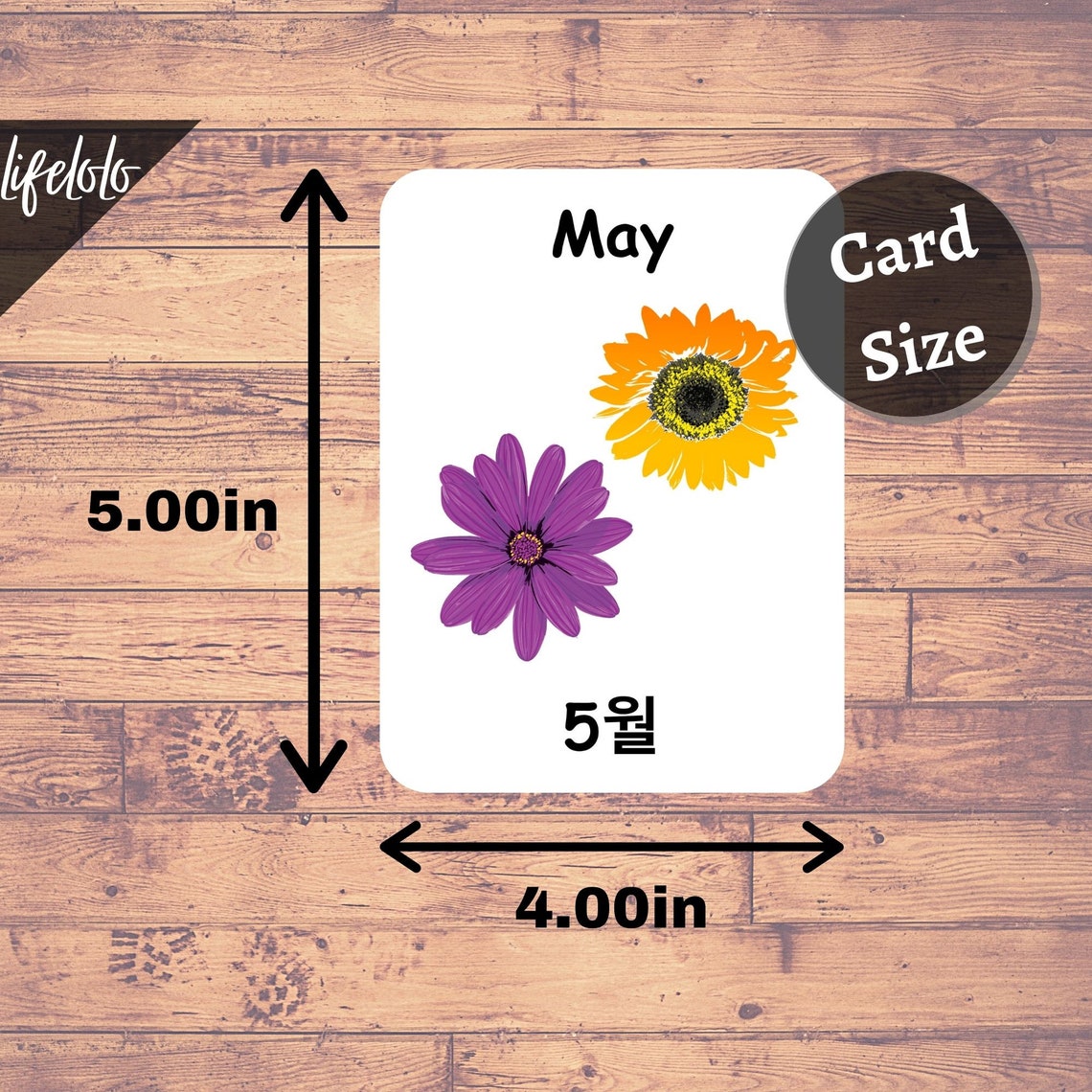 Months of the Year KOREAN Flash Cards 12 Bilingual Cards | Etsy