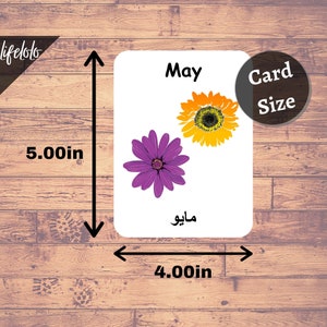 Months of the Year ARABIC Flash Cards, 12 Bilingual Cards, Montessori ...