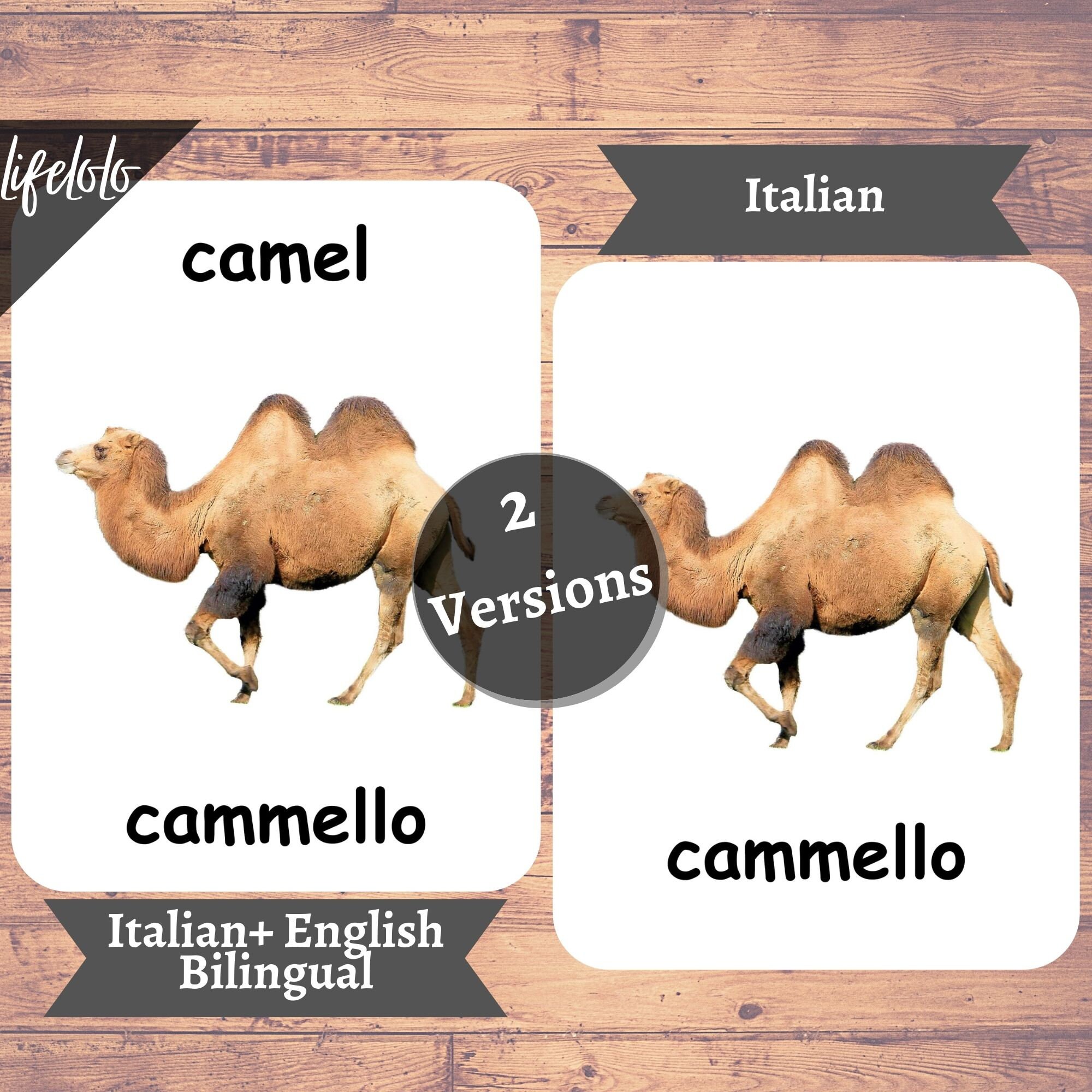 Farm Animals ITALIAN English Bilingual Cards 27 Italian | Etsy