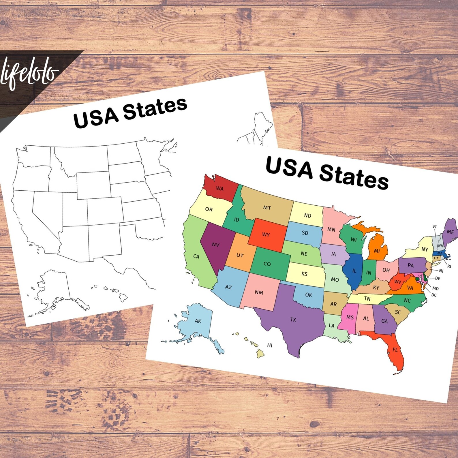 United States Map Flash Cards 50 States Montessori Cards 3 - Etsy Canada