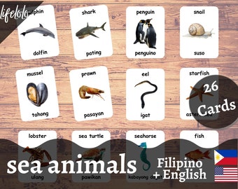 Filipino Flash Cards - Etsy