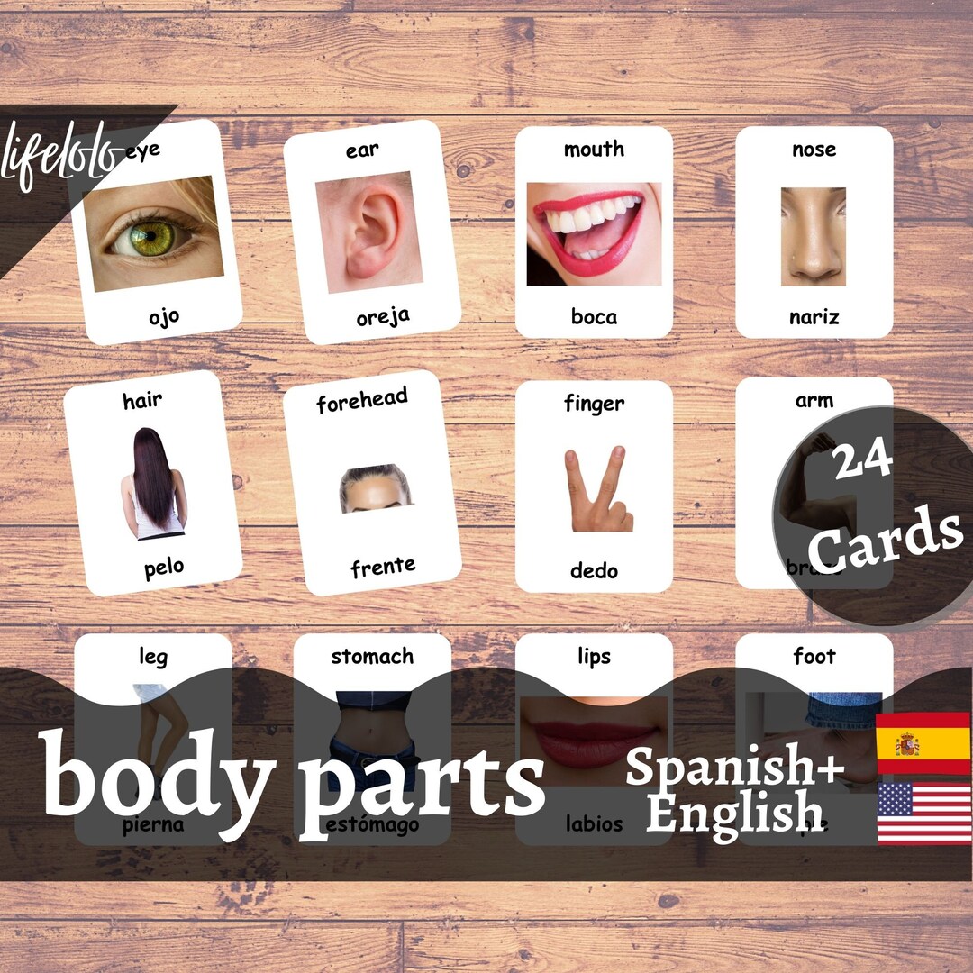 Body Parts (real) | SPANISH | English Bilingual Cards | 24 Spanish ...