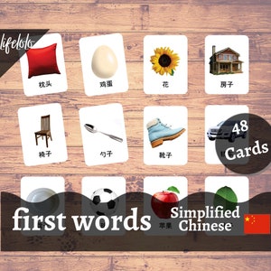 First Words SIMPLIFIED CHINESE Version English Bilingual Cards 48 ...