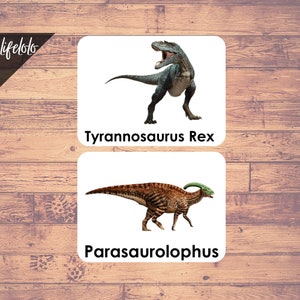 Dinosaurs Flash Cards | Montessori Cards | 3 Part Cards, Kids Printable ...