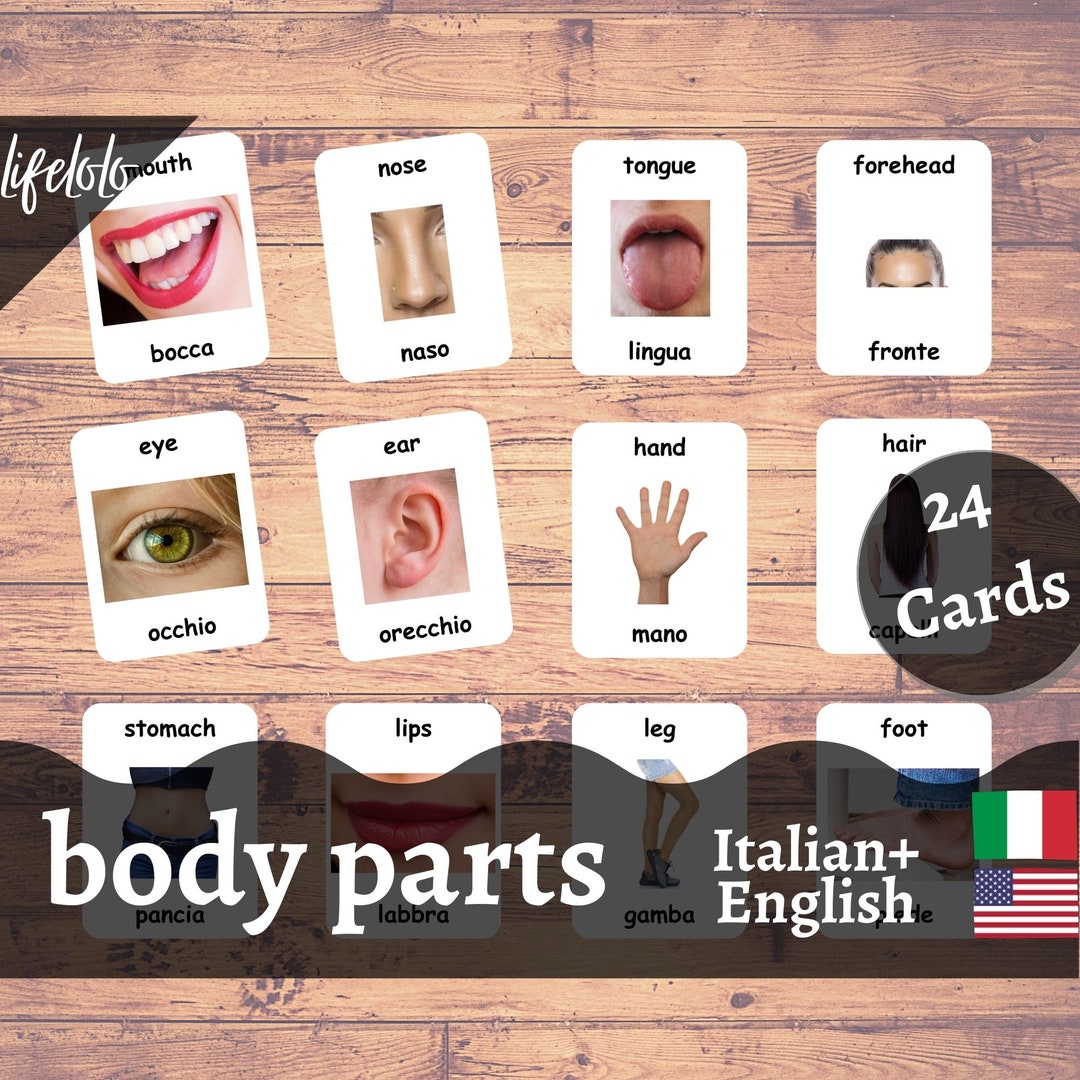 Body Parts (real) | ITALIAN | English Bilingual Cards | 24 Italian ...