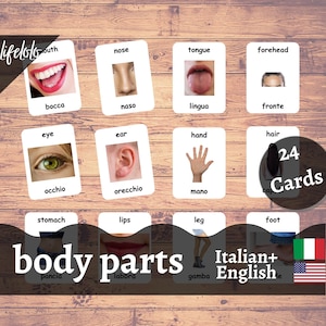 Body Parts (real) | ITALIAN | English Bilingual Cards | 24 Italian ...