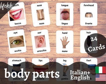 Italian Body Parts - Etsy